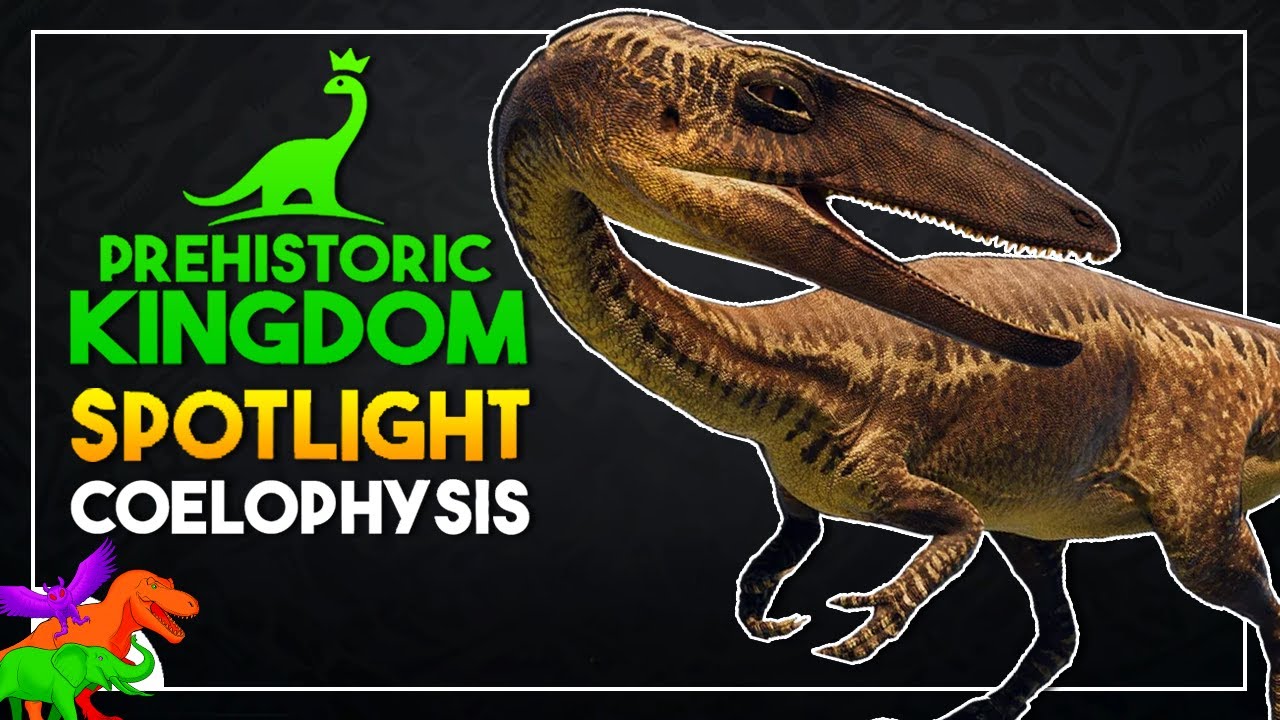 Coelophysis Spotlight | Prehistoric Kingdom - YouTube