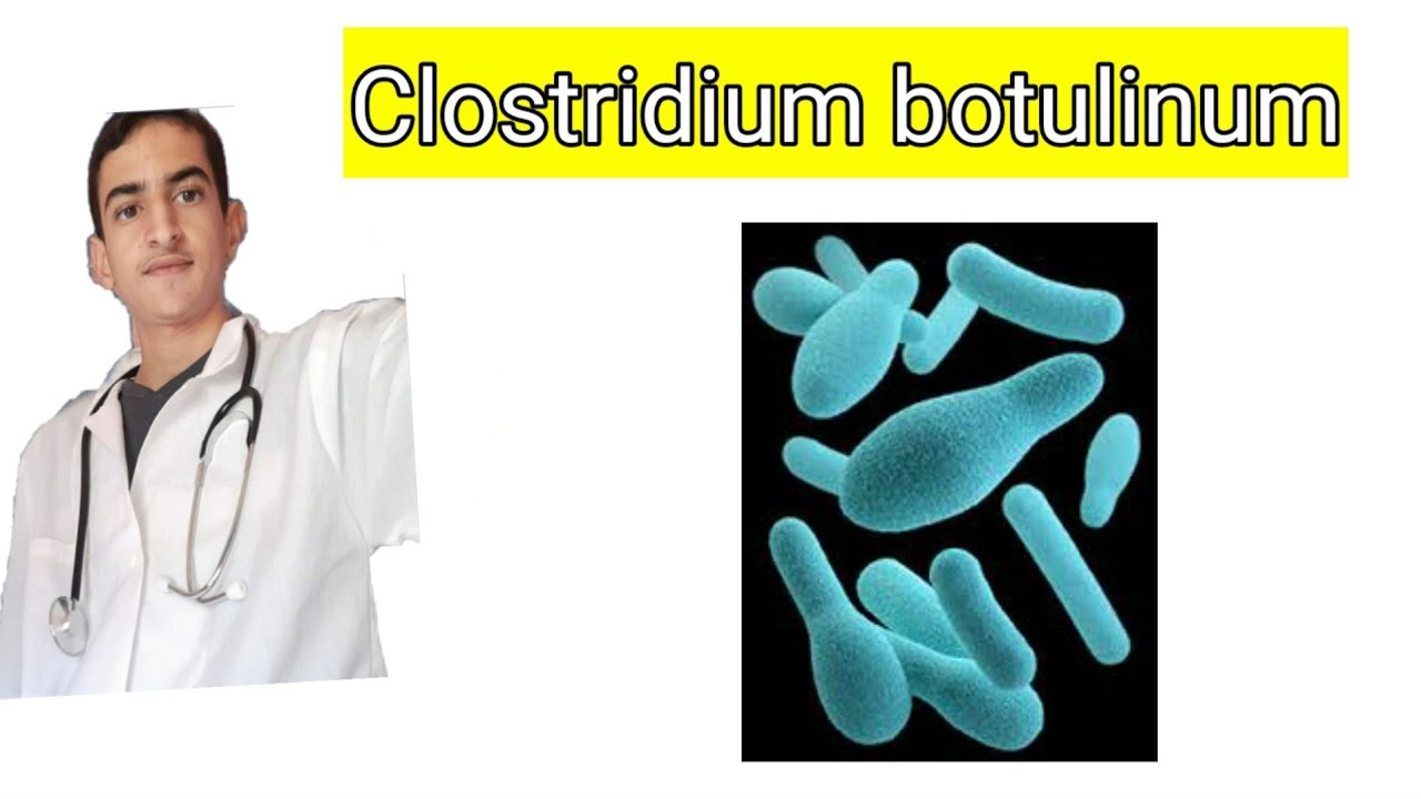 Clostridium botulinum - YouTube