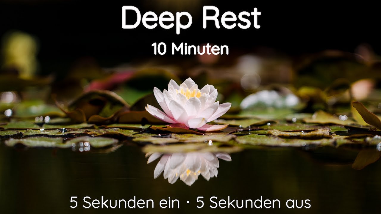 Rhythmus für kohärentes Atmen 5 Sek. ein/aus | 10 Minuten - YouTube