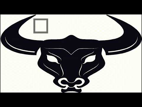 calma boi - YouTube