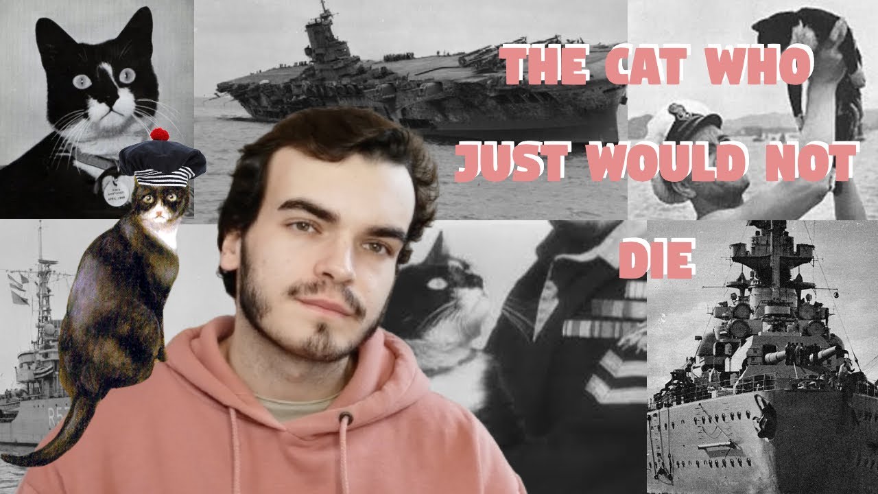 The Story of UNSINKABLE SAM : The Cat Who Survived 3 Sinking Ships ...