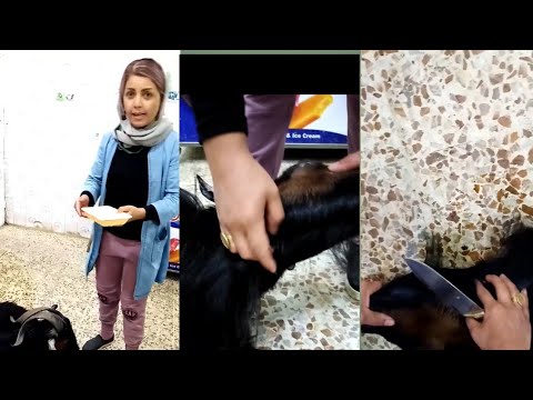 lady slaughtering goat || মহিলা কষাই ছাগল জবাই করলো|| # butcherlady # ...