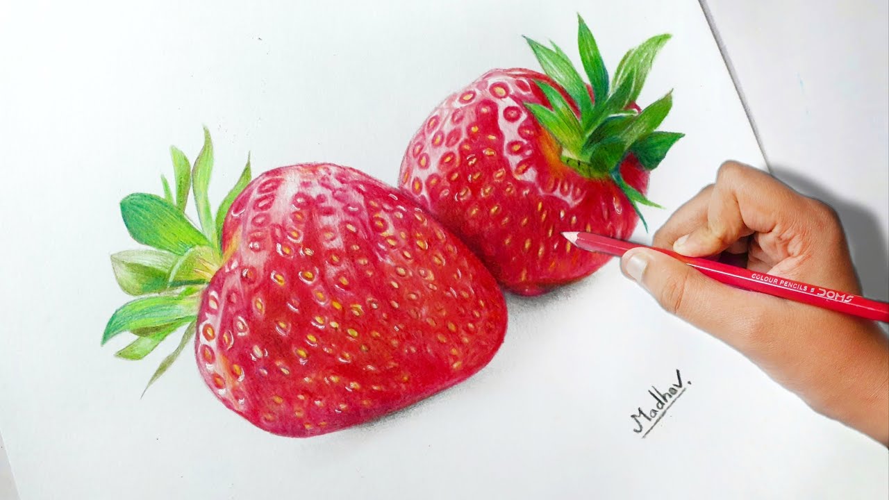 Realistic Strawberry Drawing | With Color Pencils | - YouTube