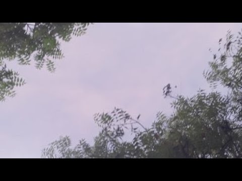 Erode VOC Park - YouTube