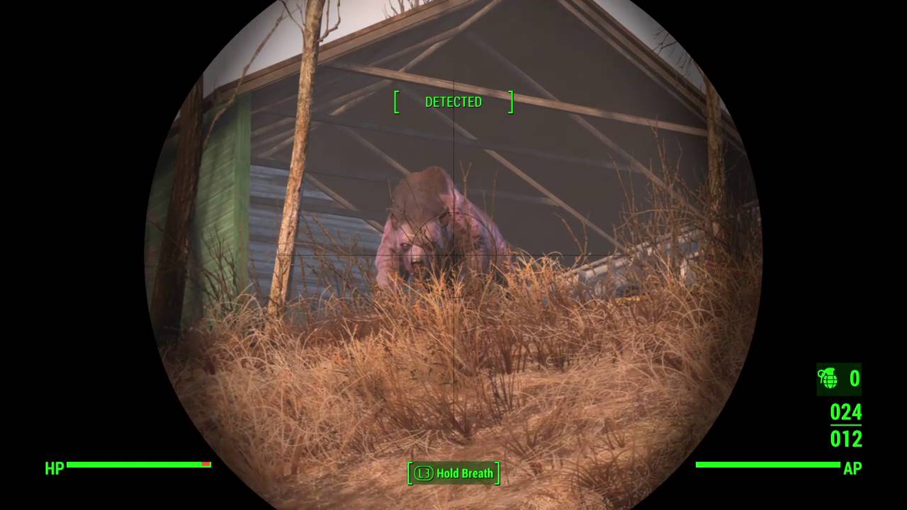 Fallout 4 Yao-Guai Encounter on Survival Mode - YouTube