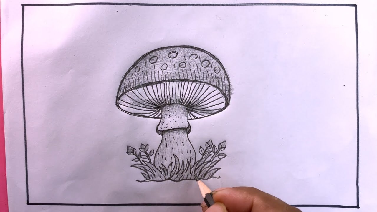You Won't Believe How SIMPLE Fungi Drawing Is - YouTube