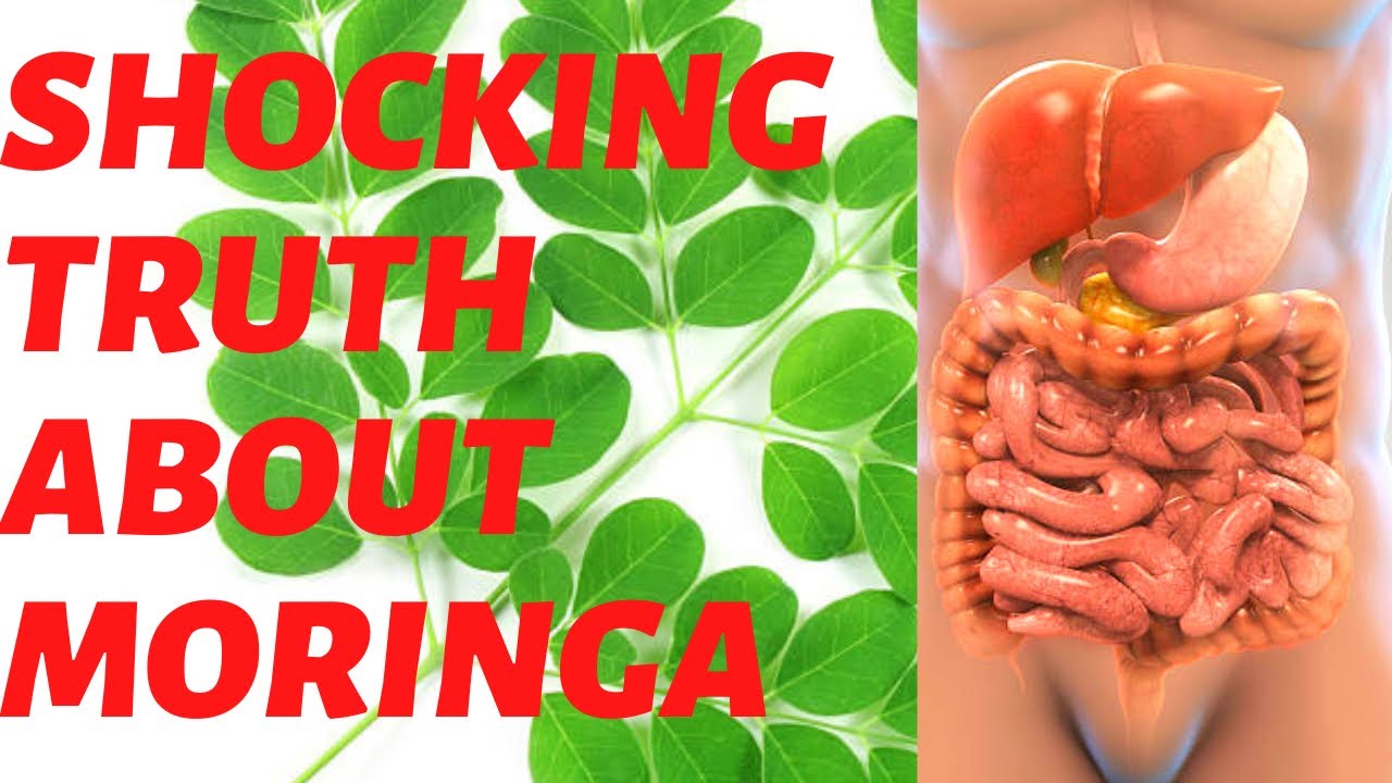 Shocking Truth about Moringa ( Health Benefits and Side Effects)😳😳😳😳 ...