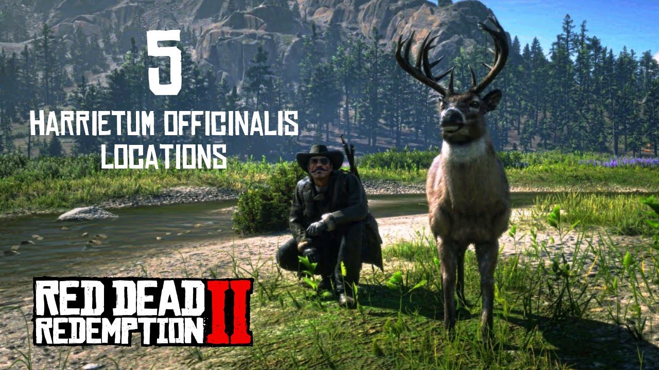 Red Dead Online - 5 Harrietum Officinalis Locations - YouTube