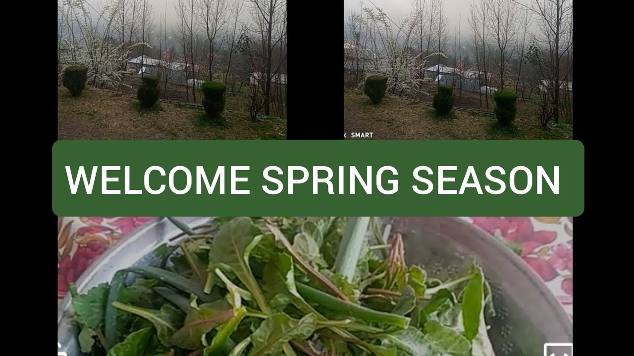 Welcome Spring season March to April . Awesome season . - YouTube