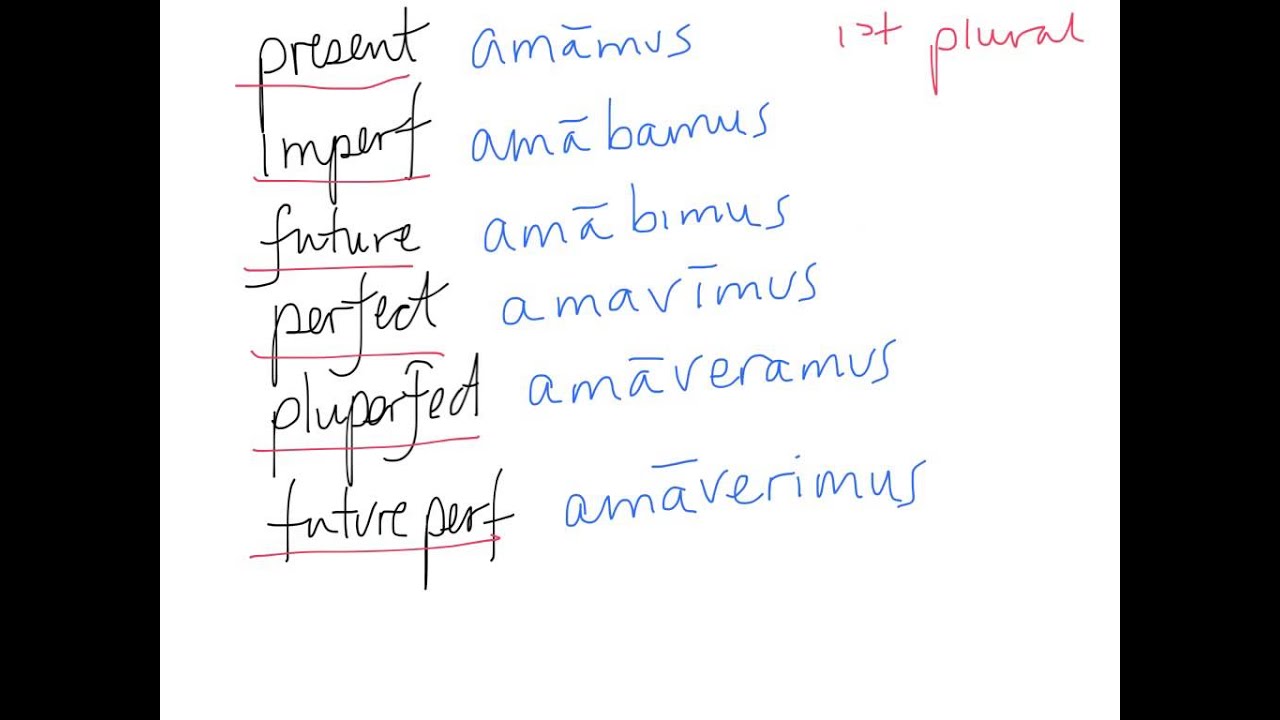 Latin 8 verb synopsis review - YouTube