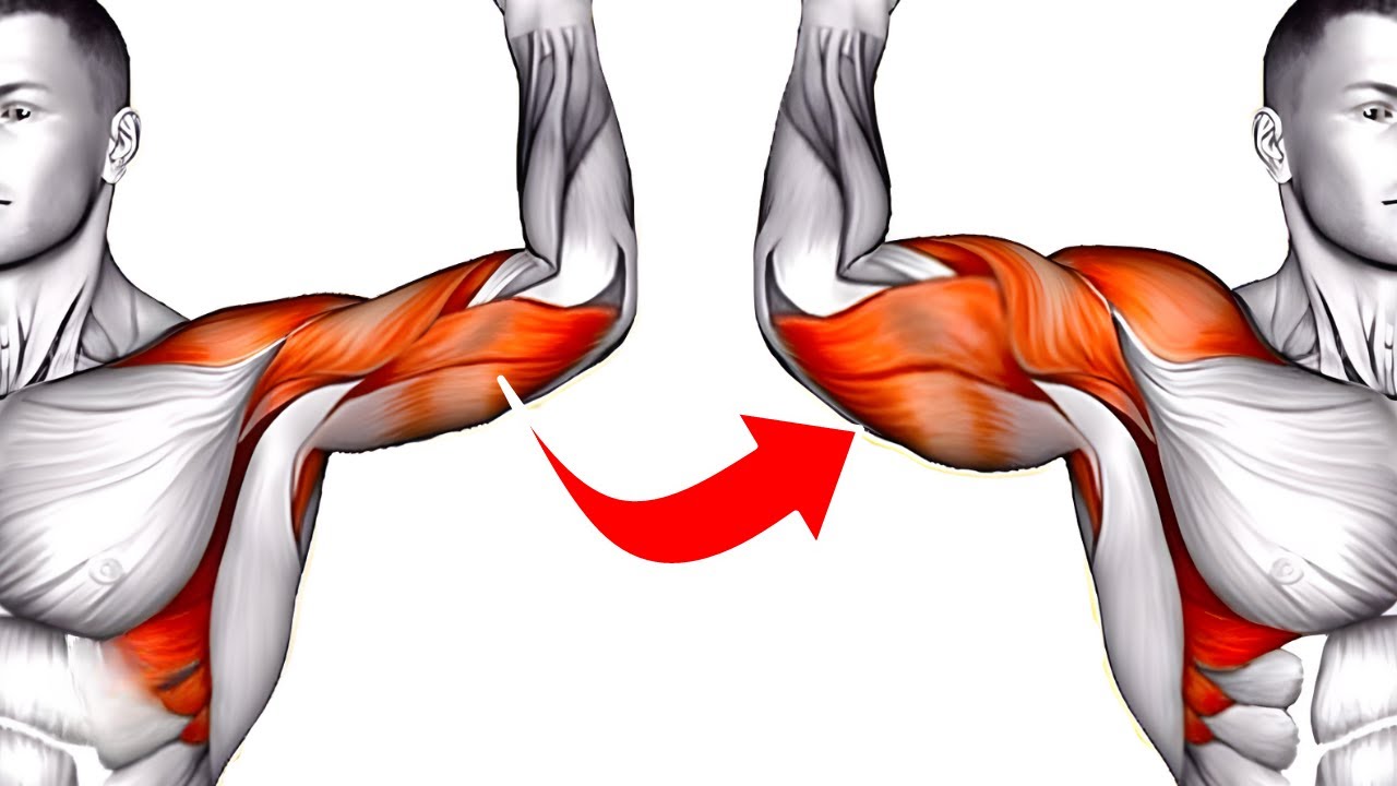 arm workout with dumbbells | Power Sculpting Secrets - YouTube