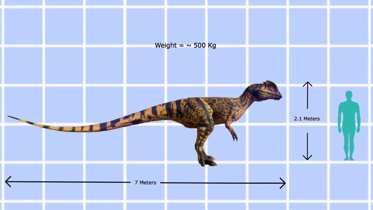 Prehistoric Sanctuary's Dinosaur Showcase: Dilophosaurus wetherilli ...