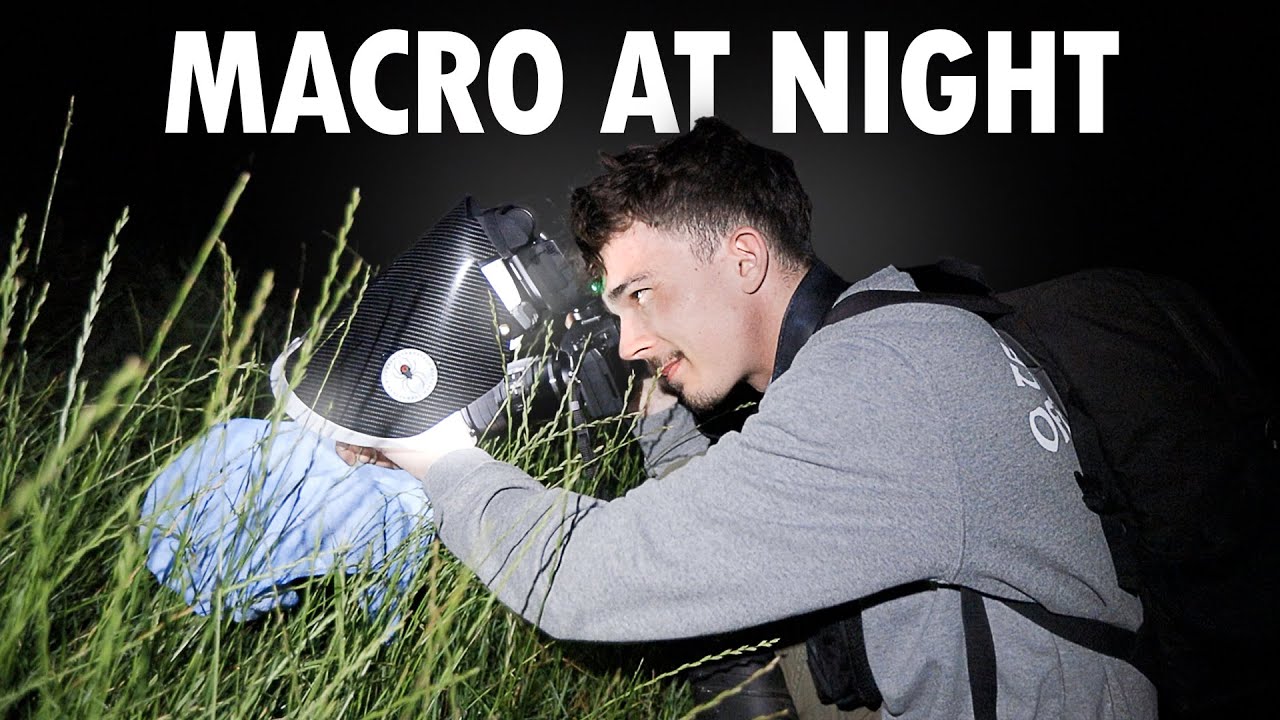 Macro Photography At Night - YouTube