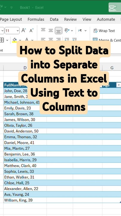 How to Split Data into Separate Columns in Excel Using Text to Columns - YouTube