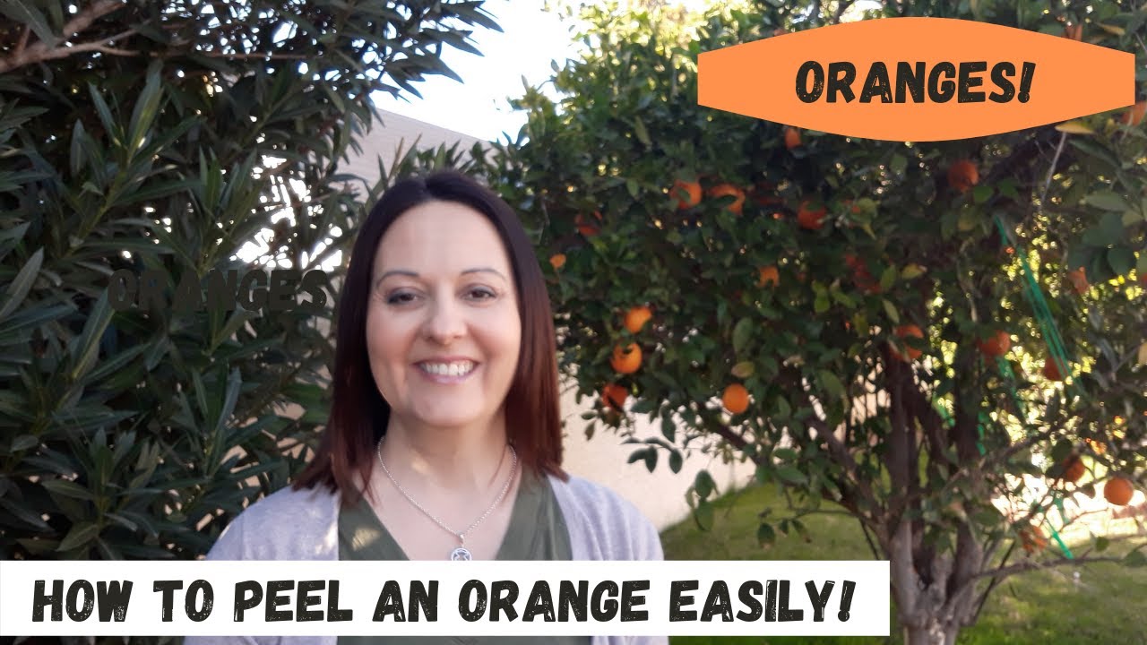 Orange Trees & How To Peel An Orange The Easy Way! #howtopeelanorange # ...