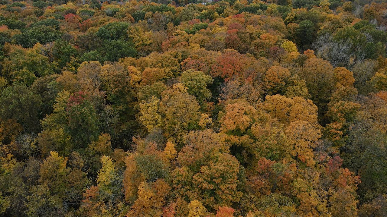 Ohio Fall Color in 4K - YouTube
