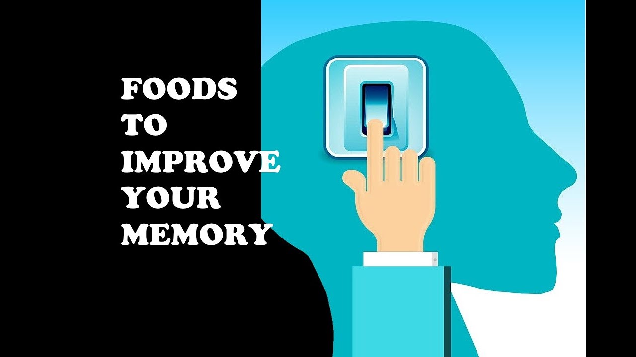 FOODS THAT WILL IMPROVE YOUR MEMORY (MUST EAT FOODS TO BOOST MEMORY ...