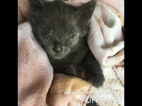 I love Lilah girl i will never forget the day i sall her