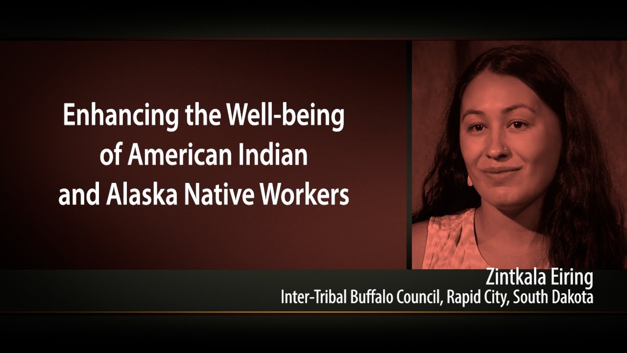 Enhancing the Well-being of American Indian and Alaska Native Workers ...