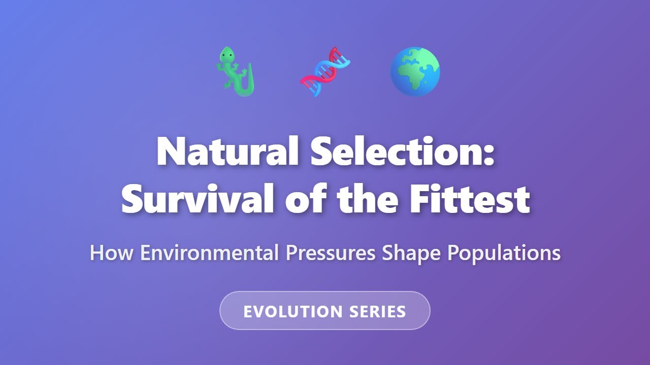 Natural Selection Explained: Survival of the Fittest | Evolution for ...