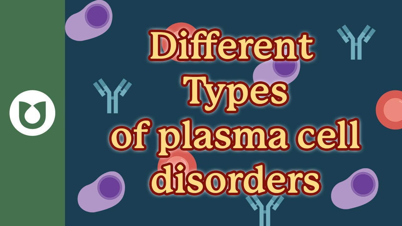 What are the different types of plasma cell disorders? #myeloma - YouTube