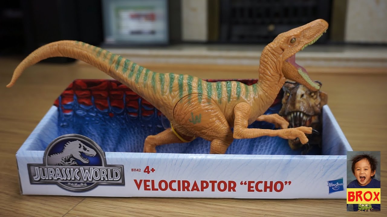 Jurassic World Velociraptor "Echo" Figure -Unboxing - YouTube