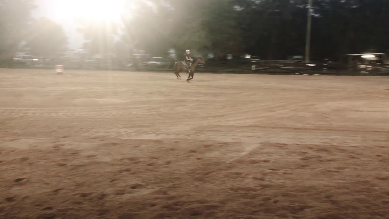 Look See Wonder By Wonders Pal out of 1D- See See Wonder - YouTube