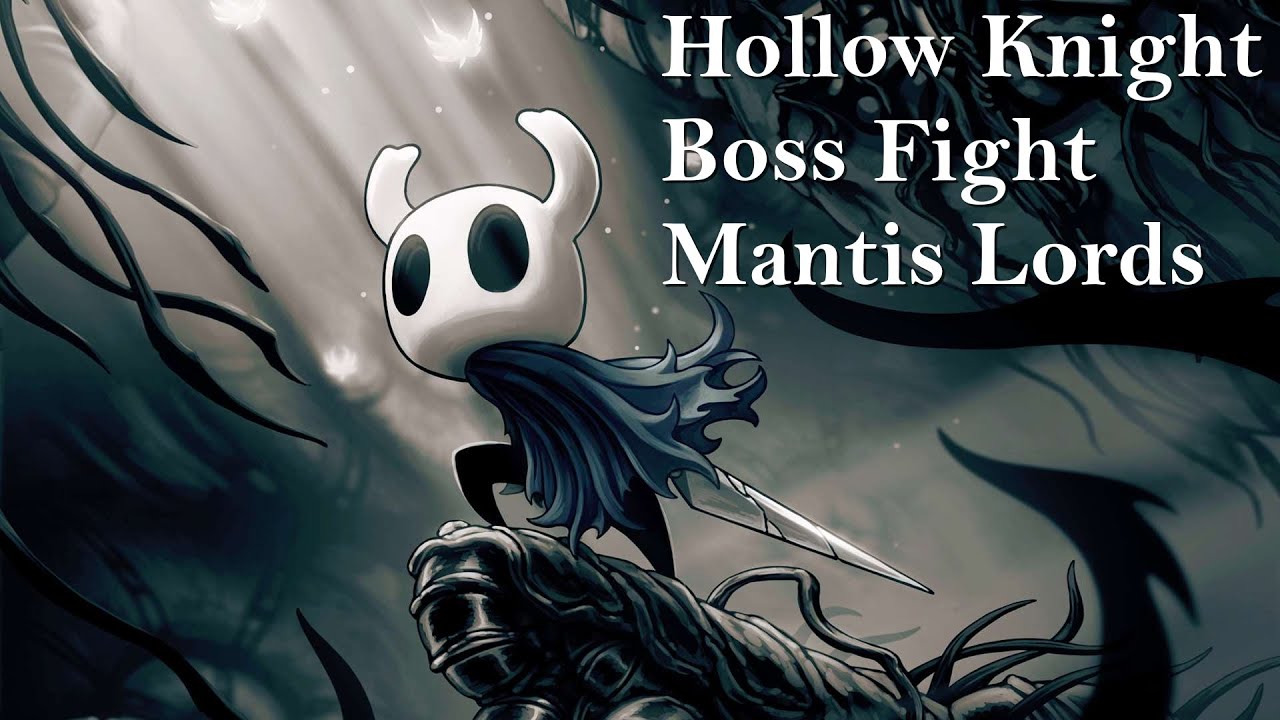 Hollow Knight - Mantis Lord Fight - YouTube