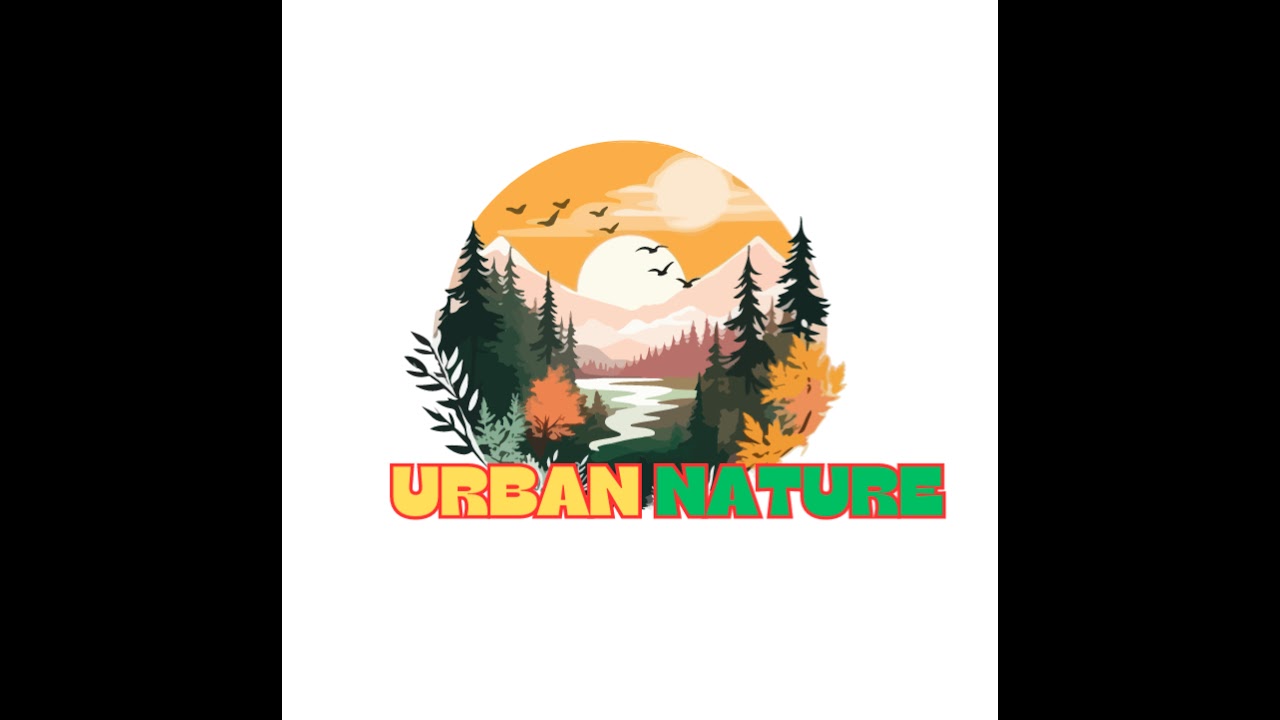 Urban Nature Live Stream - YouTube