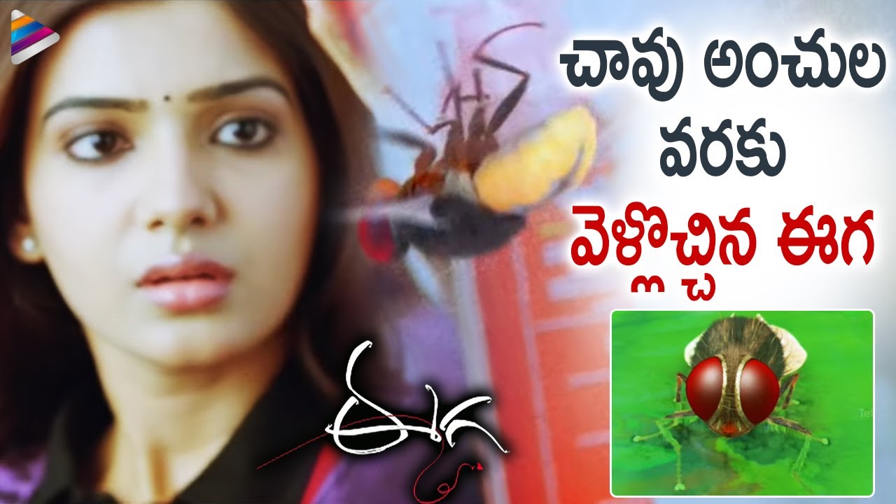 Actress Samantha In Eecha