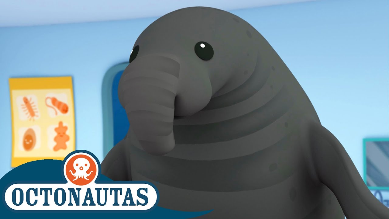 Octonautas - 🐘 O Elefante Marinho Enorme 🦭 | Episódio inteiro 29 ...