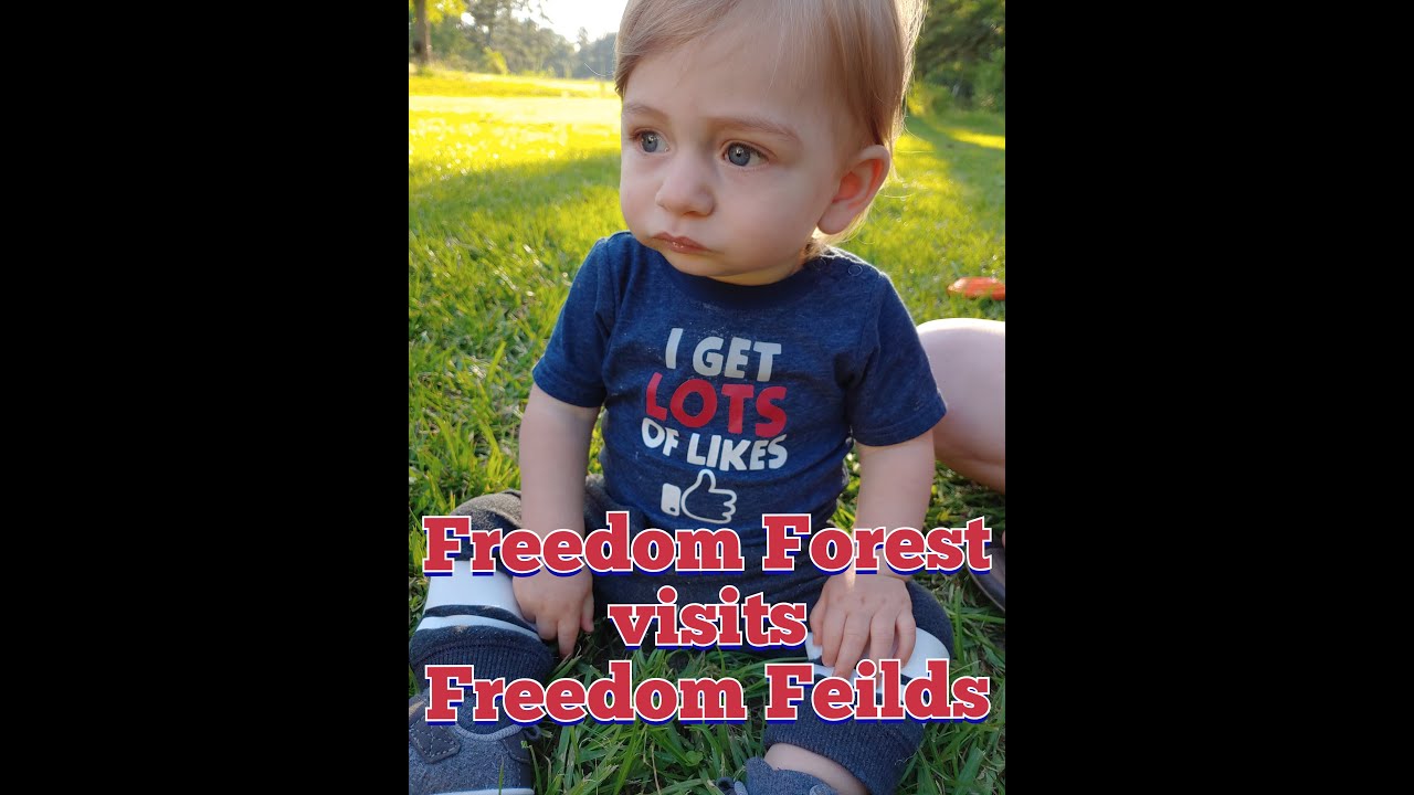 Freedom Forest visits Freedom Fields - Nature Walk and Cows - YouTube