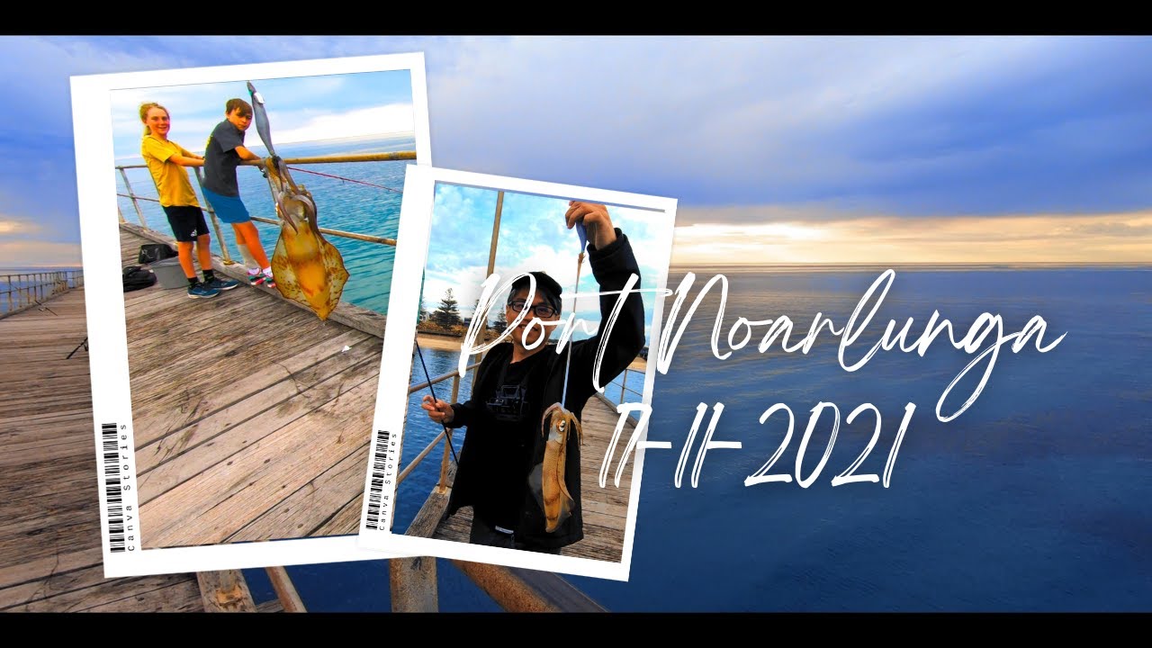 Adelaide Squid Fishing | Port Noarlunga Jetty | South Australia - [17 ...