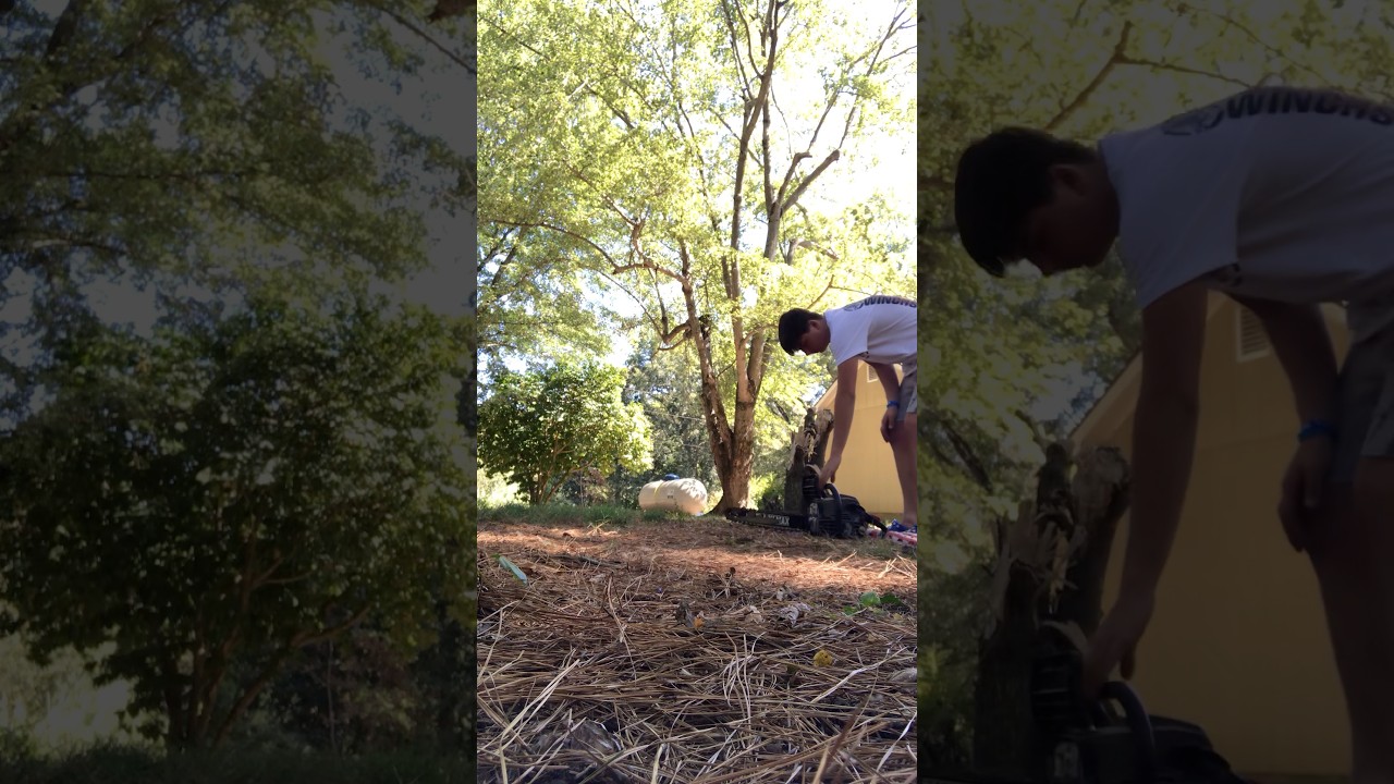 Cutting down stump #outdoors #chainsaw - YouTube
