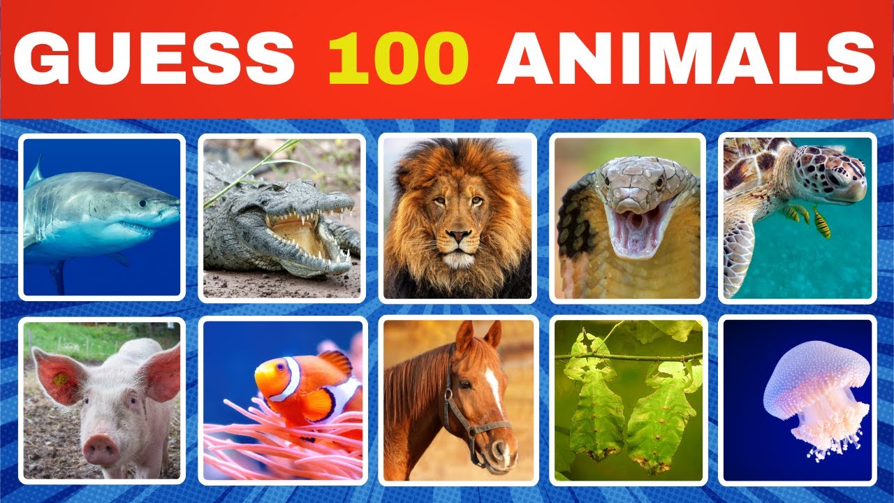GUESS 100 ANIMALS in 3 Seconds | Easy, Medium, Hard - YouTube