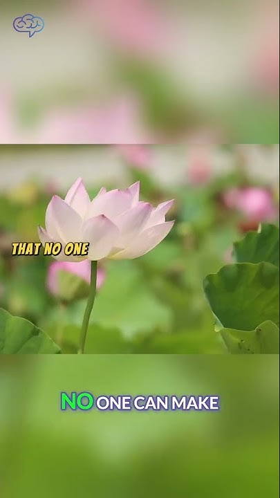 Take Control: How to Own Your Life! 🌟 - YouTube