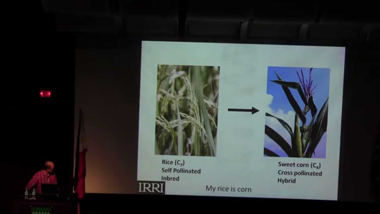 3. Exit seminar by Glenn Gregorio: The dream of a rice breeder, Pt3 ...
