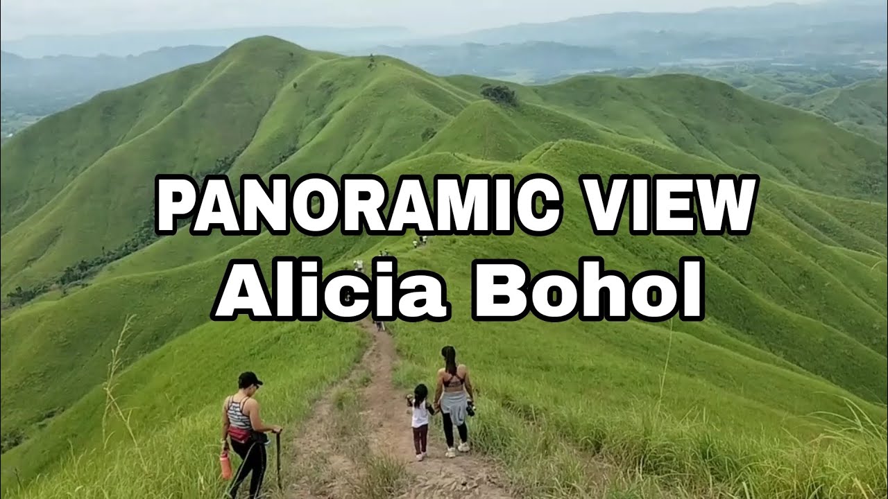 PANORAMIC VIEW ALICIA BOHOL - YouTube