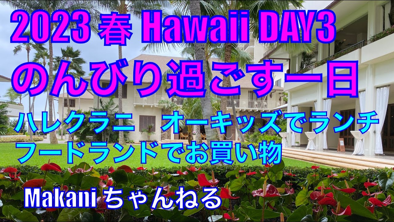 2023 Spring Hawaii Trip DAY3 - YouTube