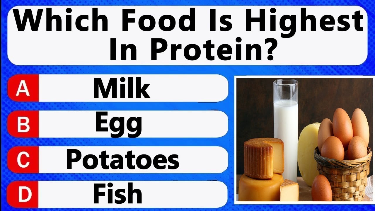 Which Food Is Highest In Protien - YouTube