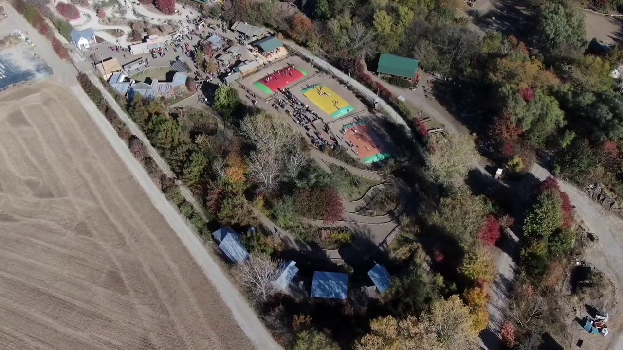 Vala's Pumpkin Patch 2019 - YouTube
