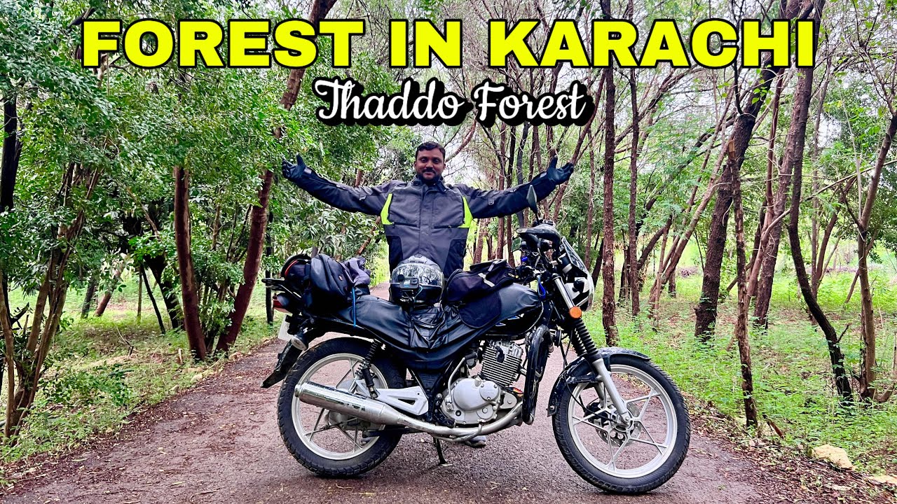 Forest in Karachi 😱 | Dense Green Forest in Karachi 😍 | Thaddo Forest ...