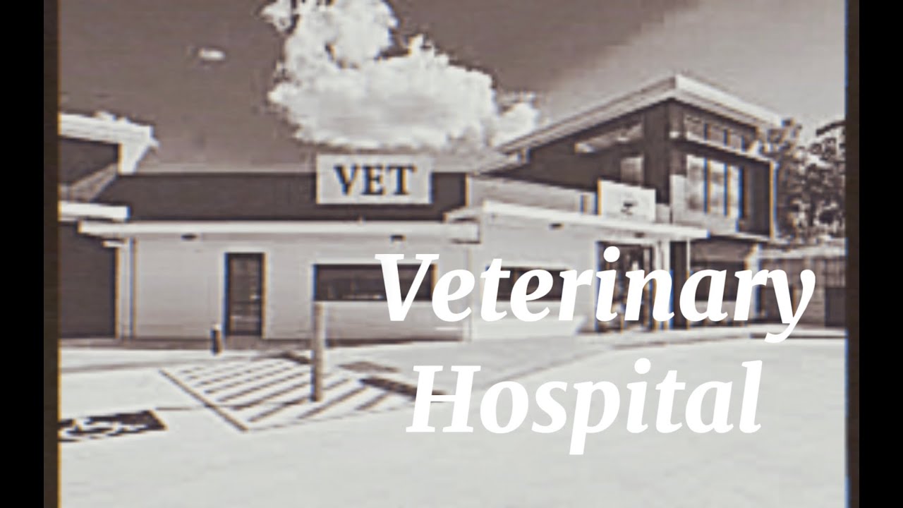 Veterinary Hospital (General Hospital Parody) - YouTube