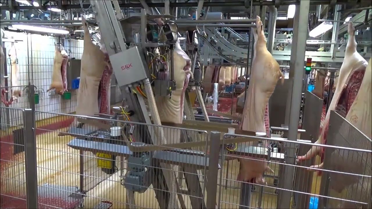 Frontmatec Pork Solutions | Autoline Inkjet stamper API8 - YouTube