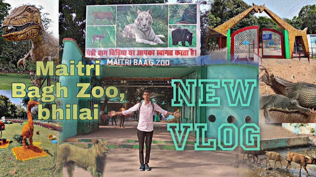 मैत्री बाग जू भिलाई | Maitri Bagh Zoo Bhilai | 2023 | @sarpetaj8521 ...