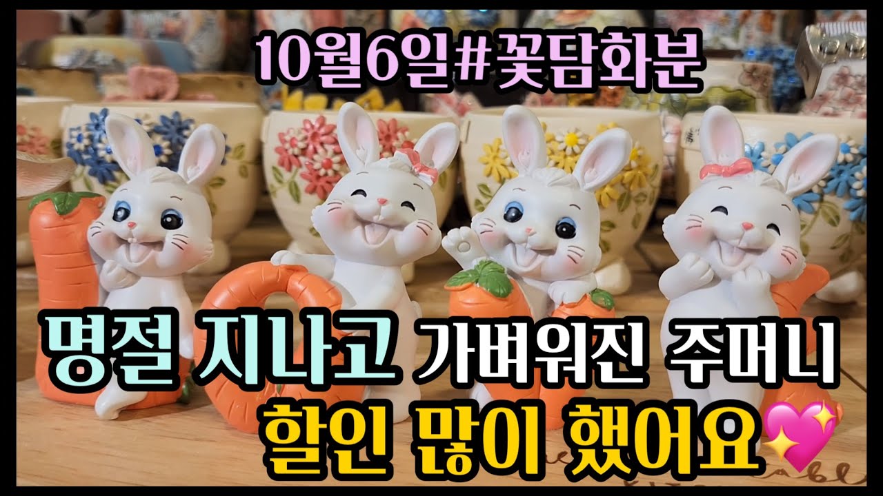 10월6일 명절지나고 가벼워진 주머니 제가 많이 할인했어요💖꽃담다육스토리예쁜화분화분싸게파는곳다육식물多肉植物succulents다육이꽃담화분다육화분꽃담다육