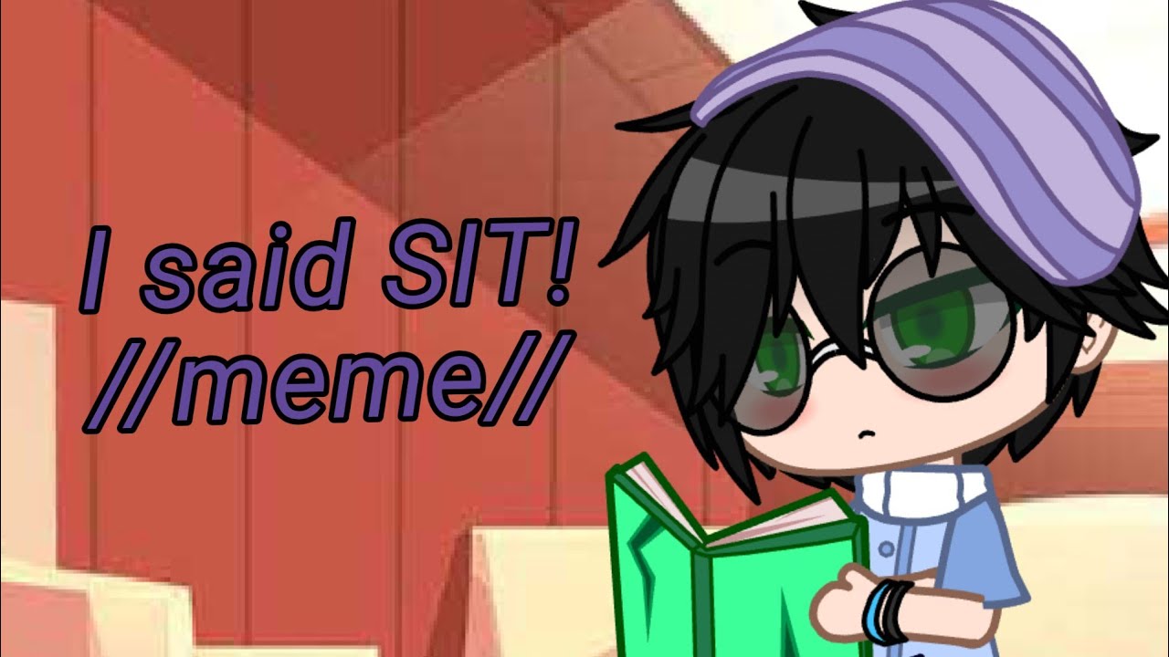 I said SIT! meme //GC// - YouTube
