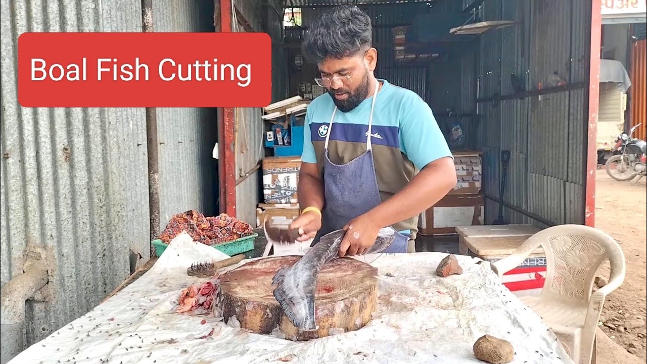 Amazing Big Boal Fish Cutting Video By Mh Fish Cutting Skills From ...