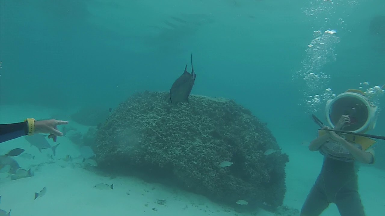 Randy Hutchens Helmet Diving in Bora Bora - YouTube