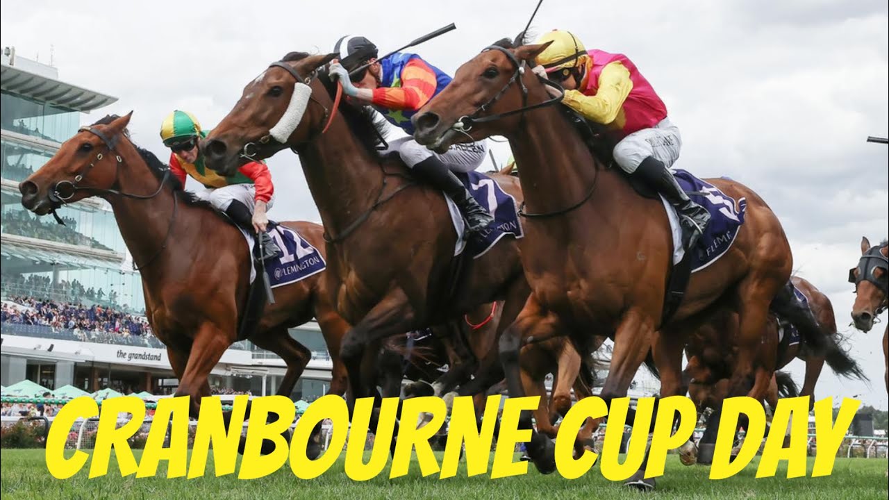 Cranbourne Cup Day 2024 Preview! - YouTube